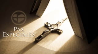 PAXTV MÓVILs | Vivo : Entretenimiento