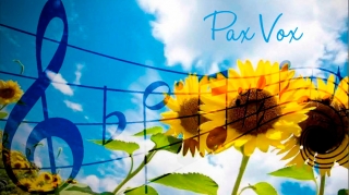 PAXTV MÓVILs | Vivo : Entretenimiento