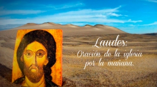 PAXTV MÓVIL | Vivo : Vidas