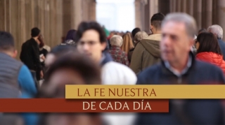 PAXTV MÓVILs | Vivo : Entretenimiento