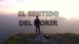 PAXTV MÓVILs | Vivo : Entretenimiento