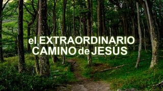 PAXTV MÓVILs | Vivo : Entretenimiento