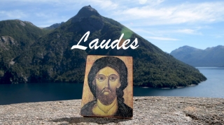 PAXTV MÓVILs | Vivo : Entretenimiento