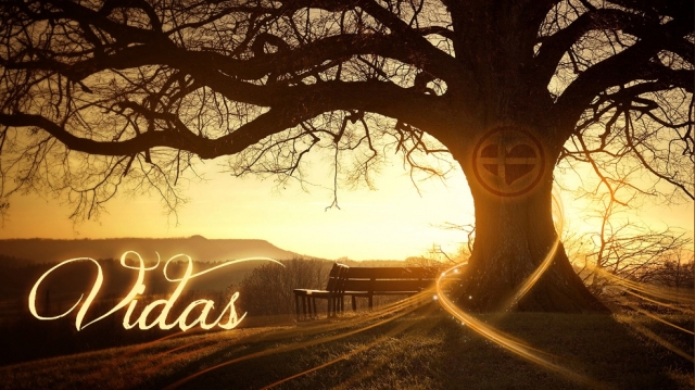 PAXTV MÓVILs | Vivo : Vidas